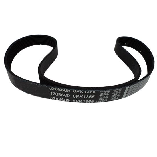 KTA19 4BT 6BT diesel engine parts b series belt v ribbed 3288689