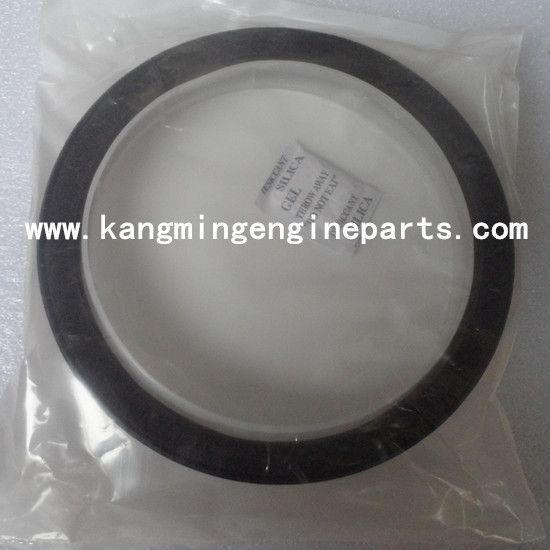 3933262 PTFE Oil Seals for engine parts 6c 6b engines