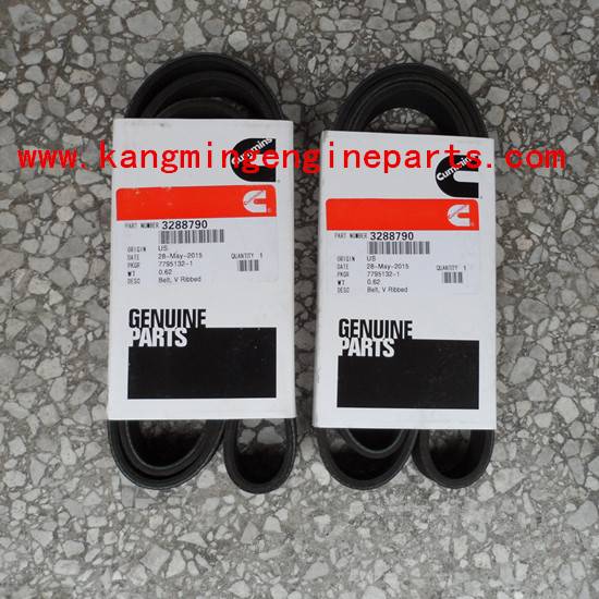DCEC engine parts 4bt 6bt engine belt v ribbed 3288790
